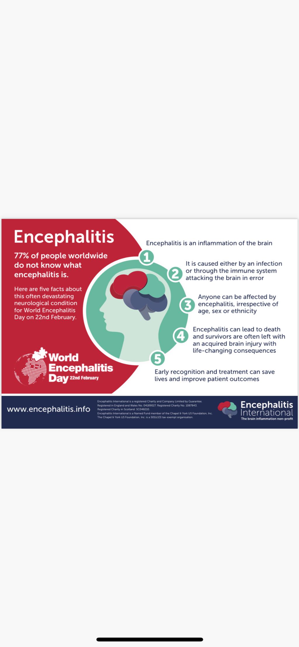 Tough Mudder UK 2024 - Encephalitis International | Gregor & Rowan take on Tough Mudder